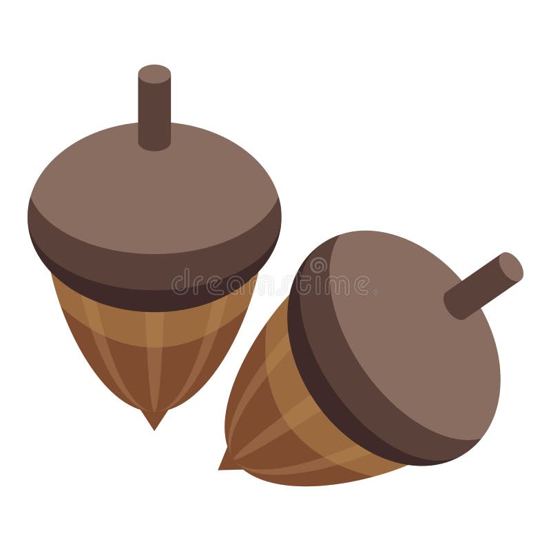 Forest Nuts Icon Isometric Vector. Nut Food Stock Vector - Illustration ...