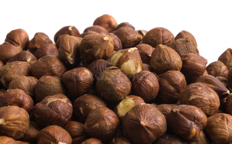 Forest nuts stock image. Image of background, nuts, season - 69049517
