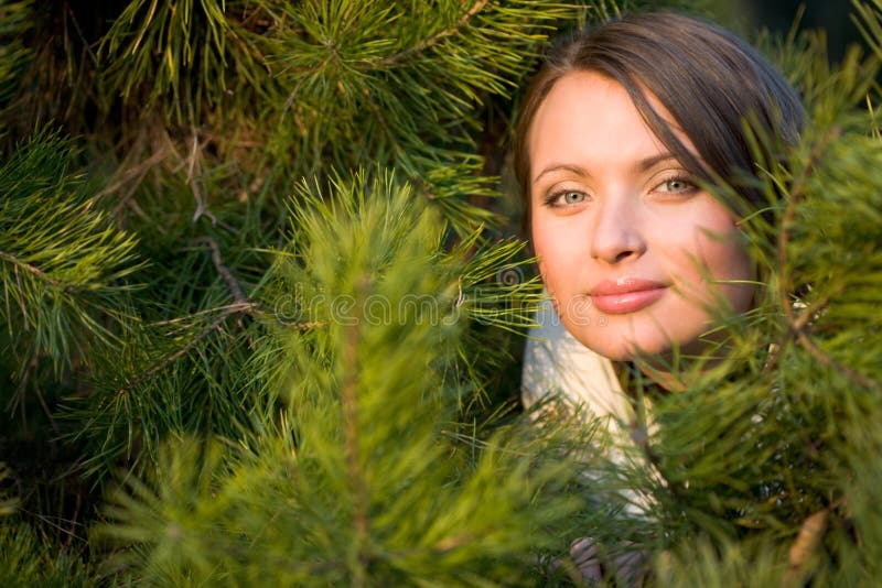 Forest nymph stock photo. Image of girl, evergreen, lady - 10310396