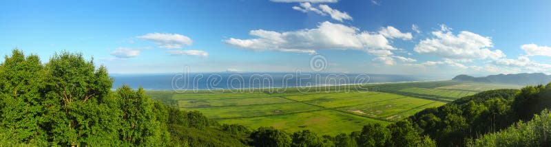 Forest and ocean stock photo. Image of ocean, kamchatka - 25185294