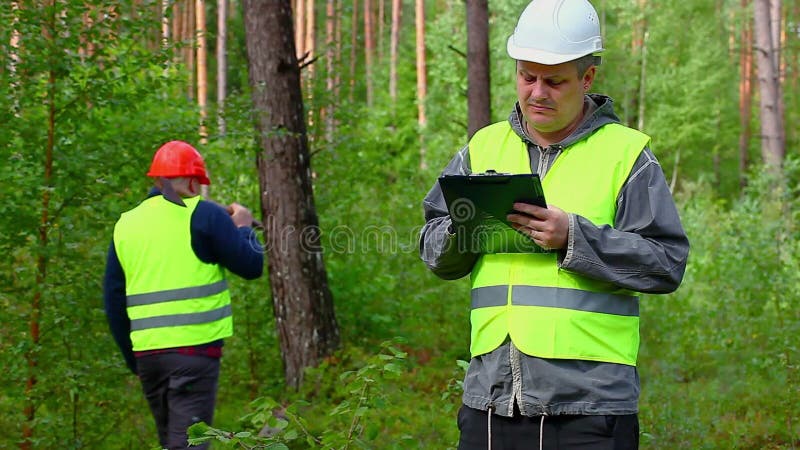 Forest Officer with folder stock footage. Video of documentation - 44248508