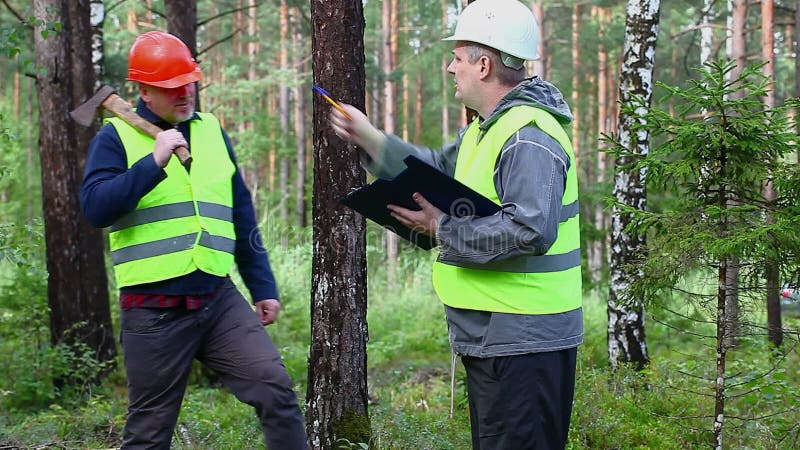 Forest Officer with worker stock video. Video of gardening - 44228687