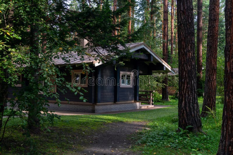 Forest and One-storied, House in it Summer Day. Modern Log Cabin in the ...