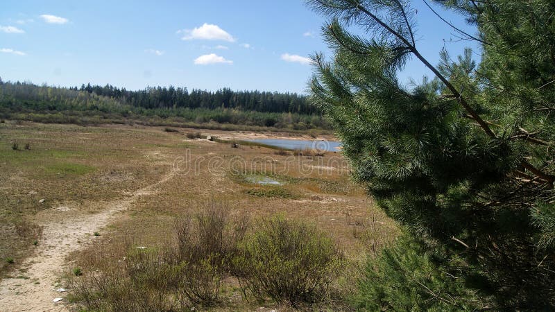 Forest Open Space Landscape Sky Stock Photo - Image of landscape, space ...