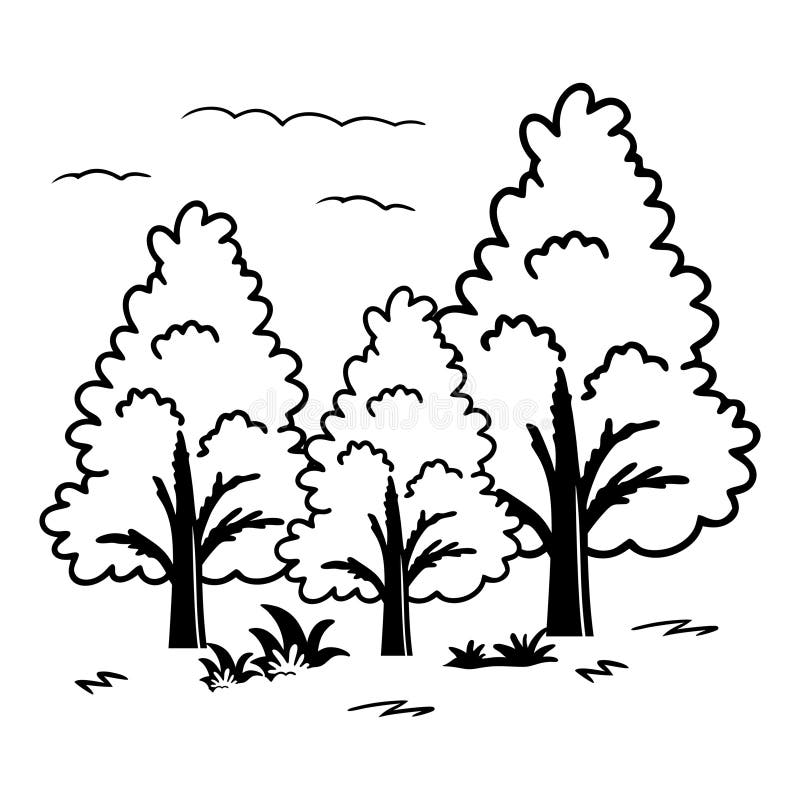 Forest Outline Dense Trees Nature Illustration Stock Illustration ...