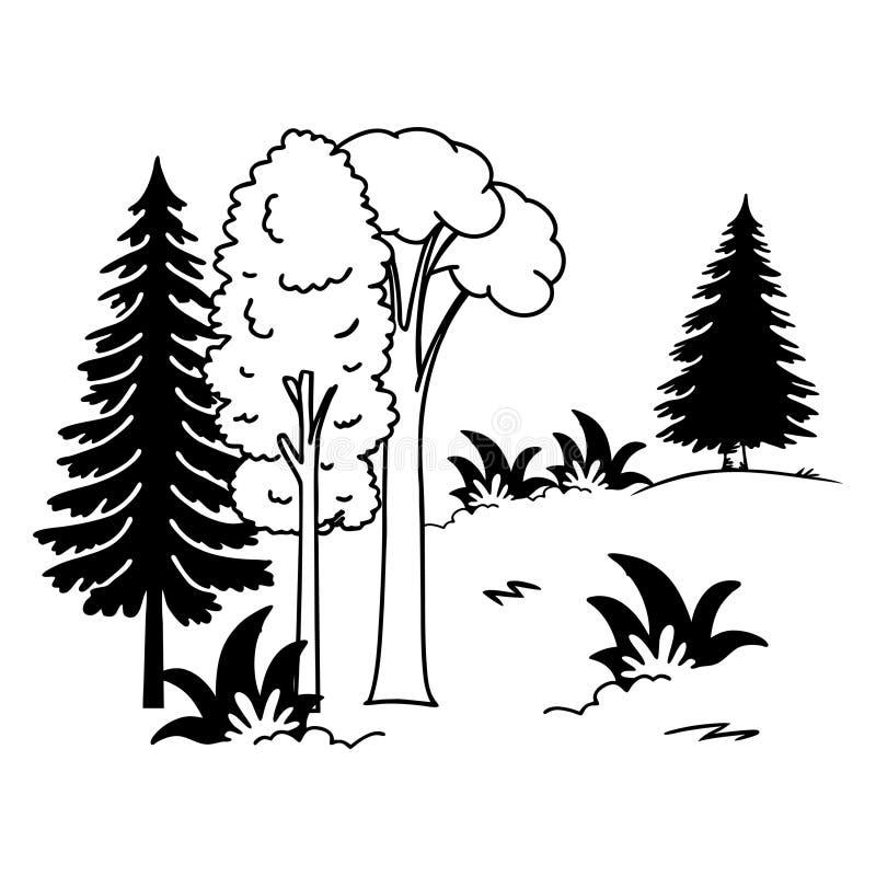Forest Outline Wildlife Trees Nature Scene Stock Illustration ...