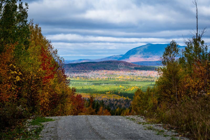 The Forest Over the Edge stock photo. Image of beautiful - 109131904