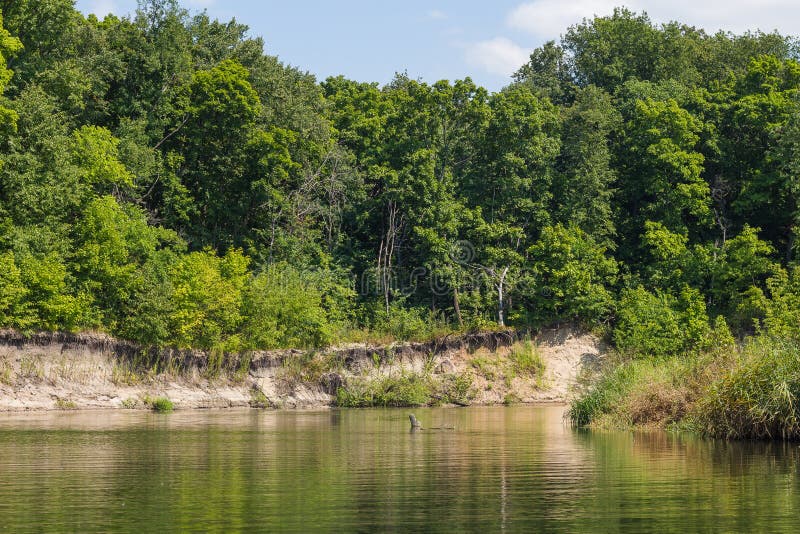 The Forest Over the Sandy Cliff Stock Photo - Image of sandy, cliff ...