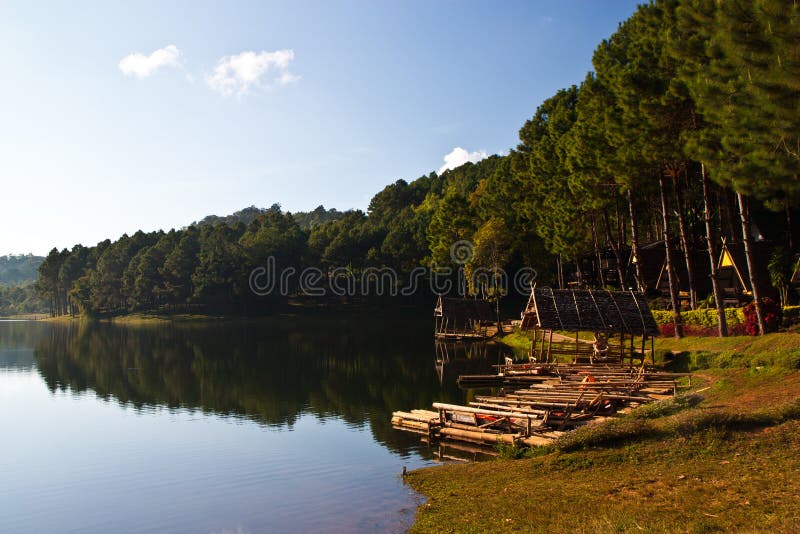 Forest On Pang Aung Picture. Image: 17464643