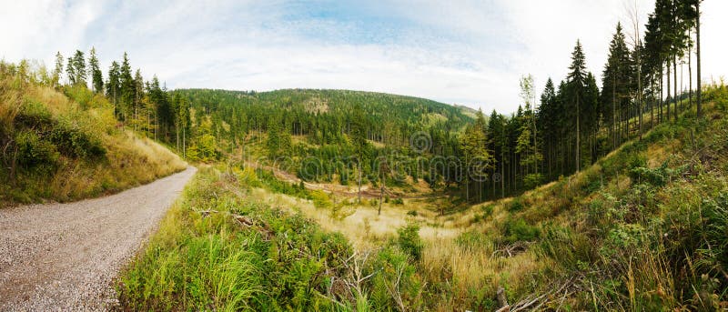Forest panorama stock image. Image of meadow, fall, color - 19074073