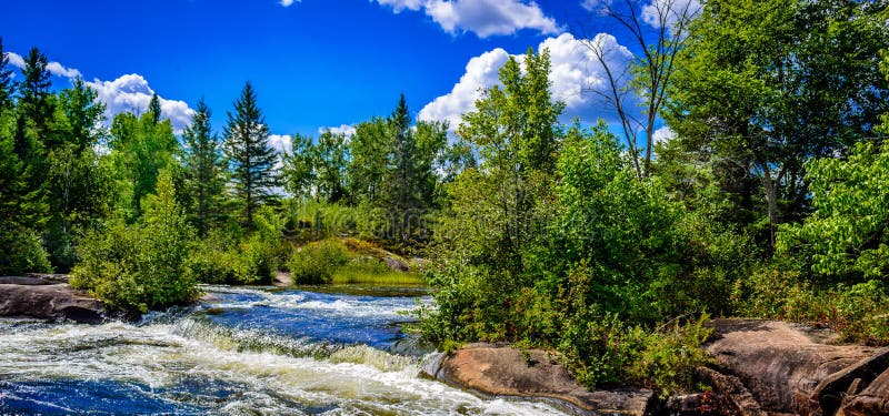 Solitude in the Wilderness Forest. Stock Image - Image of basin ...
