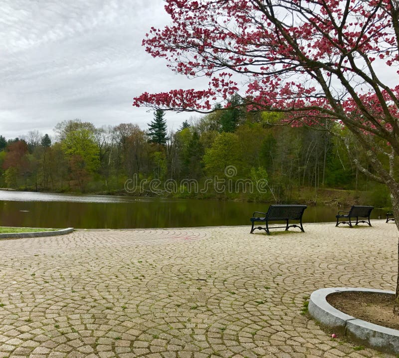 Forest Park Springfield Ma Stock Photos - Free & Royalty-Free Stock ...