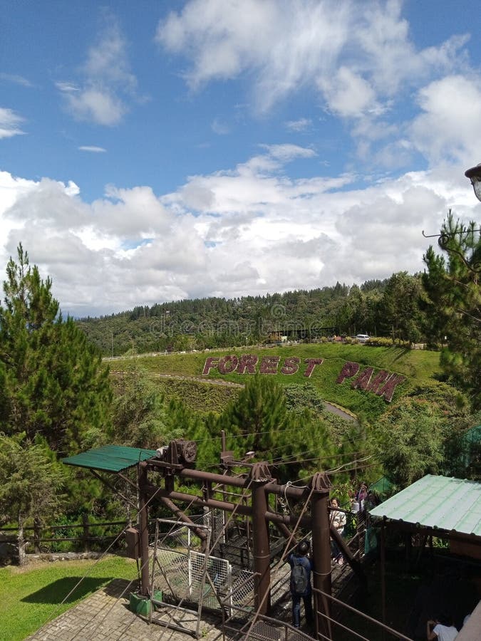 Forest Park Bukidnon Province Editorial Image - Image of bukidnon ...