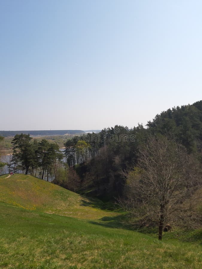 Forest, park, garden view stock image. Image of geology - 224018973