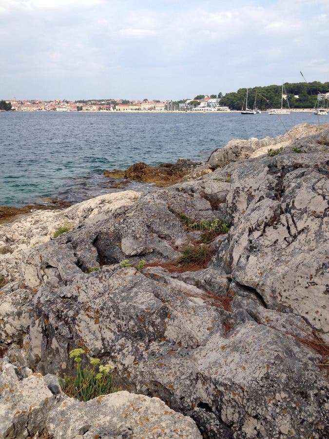 Forest Park Golden Cape foto de archivo. Imagen de escena - 77096738