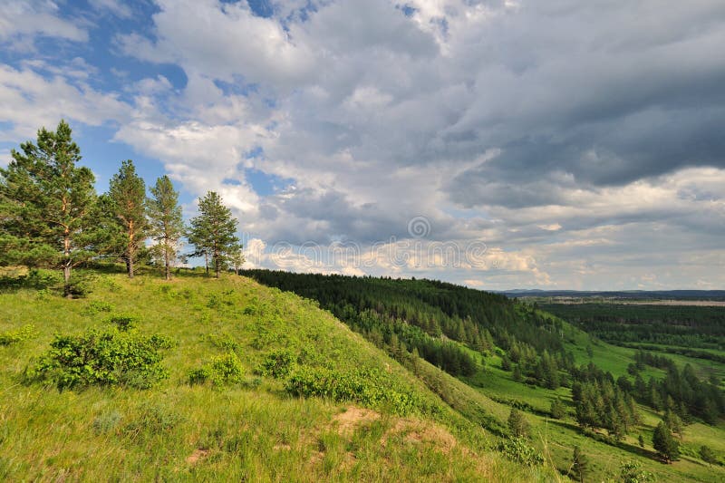 Forest Park in Inner Mongolia Stock Photo - Image of cloud, plants ...