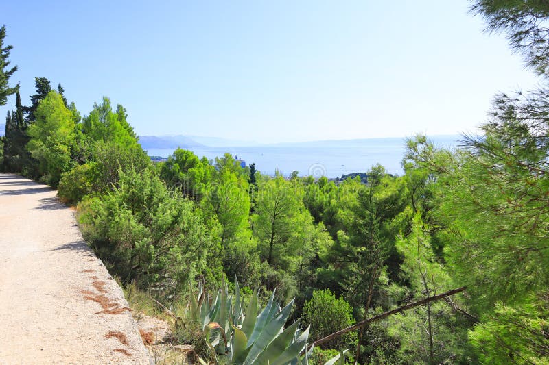 Forest Park Marjan in Split, Croatia Stock Photo - Image of marjan ...