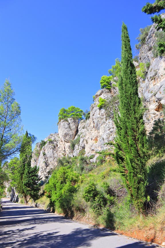 Forest Park Marjan in Split, Croatia Stock Photo - Image of landscape ...