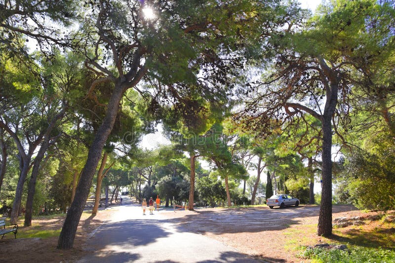 Forest Park Marjan in Split, Croatia Stock Photo - Image of dalmatian ...