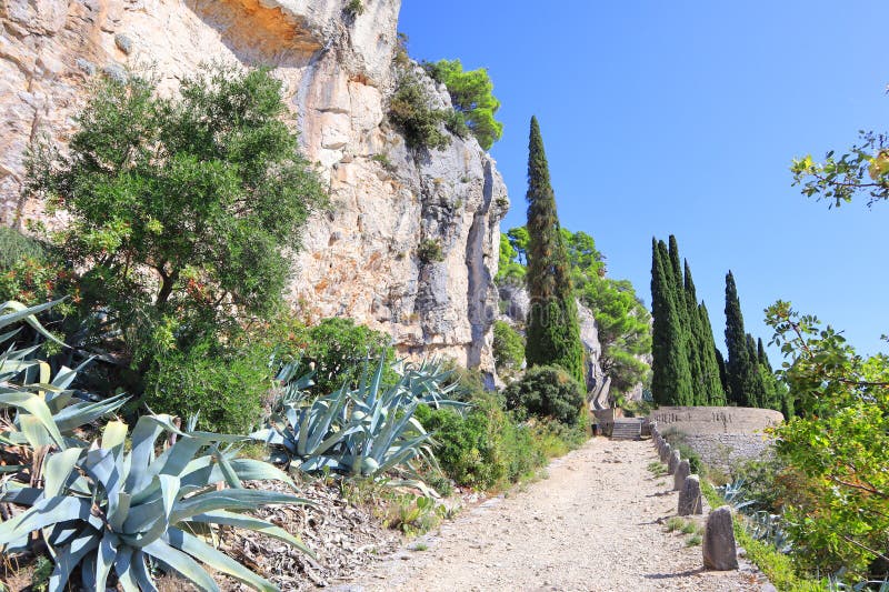 Forest Park Marjan in Split, Croatia Stock Photo - Image of village ...