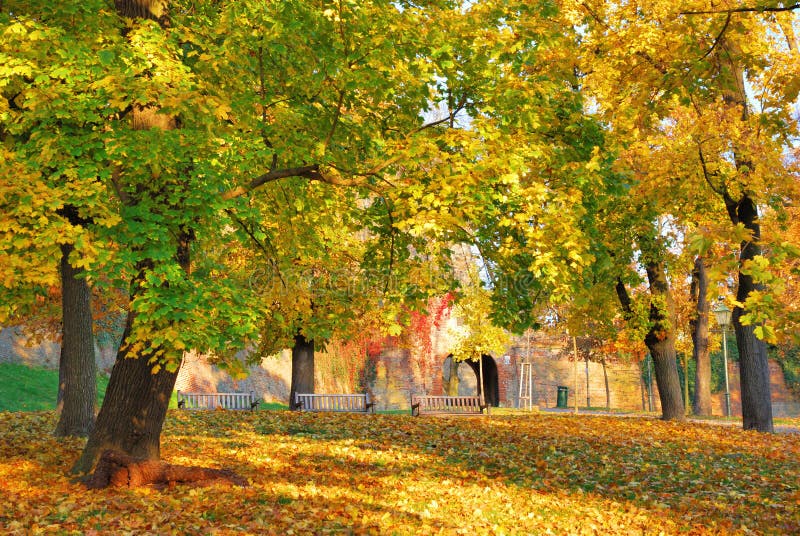 Forest Park in Spring and Autumn Seasons Stock Photo - Image of ...