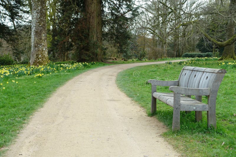 Forest Park with a Path and Bench Stock Photo - Image of lawn, landmark ...