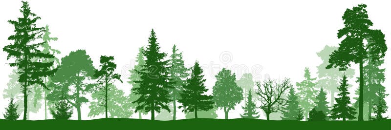 Forest, Park, Alley. Landscape of Isolated Trees Stock Vector ...