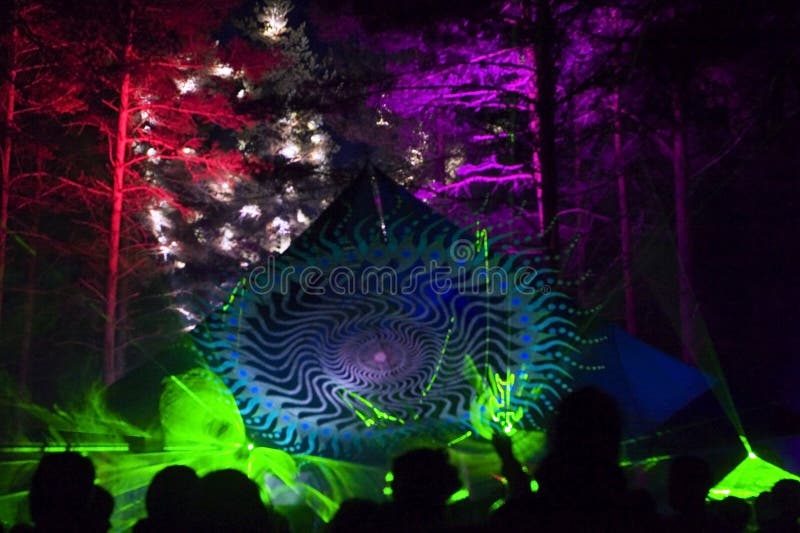 Forest Party stock image. Image of disco, night, trees - 6718449