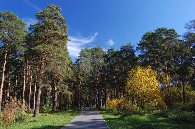 Palatine Hill, Rome, Italy stock photo. Image of roman - 15050682