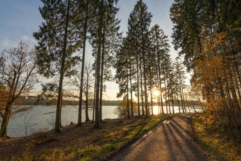 Forest path along a lake stock photo. Image of woodland - 242892310