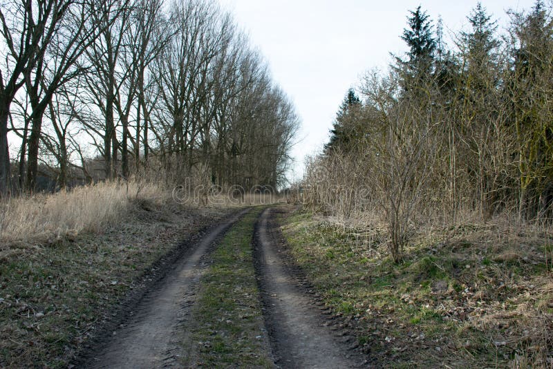 Danish winter still life stock photo. Image of view, covers - 65519590