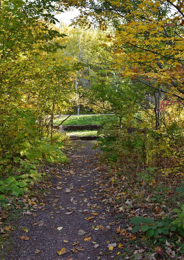 Forest Path Bordered by Changing Fall Leaves Stock Image - Image of ...