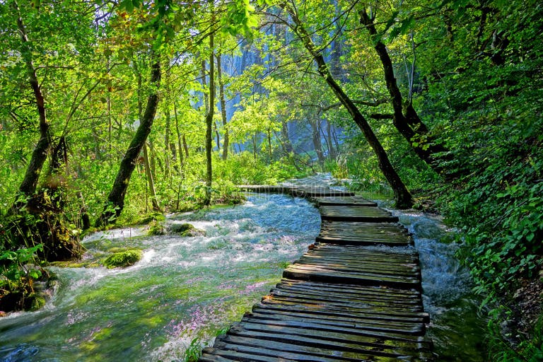 2,640,438 Path Stock Photos - Free & Royalty-Free Stock Photos from ...