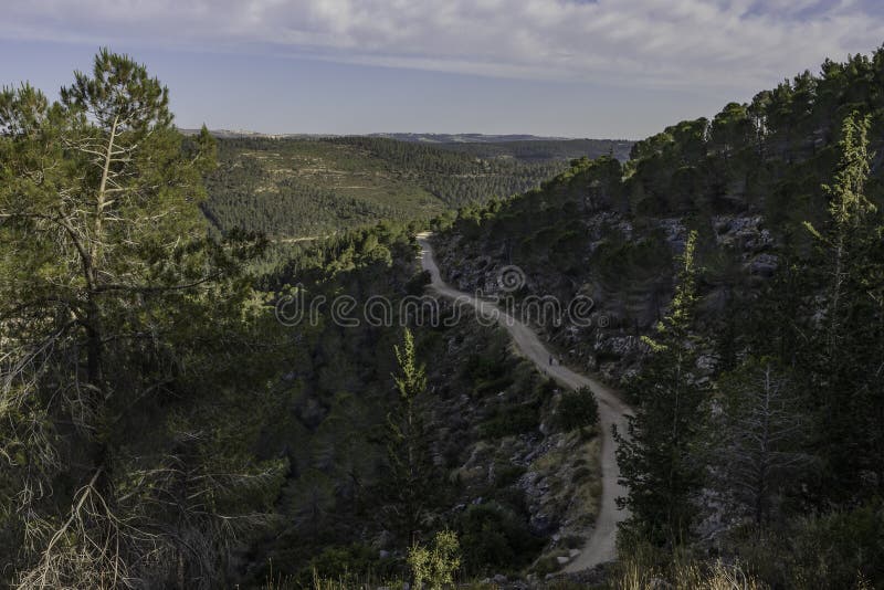 A Forest Path in the Judea Mountains Near Jerusalem, Israel Stock Image ...