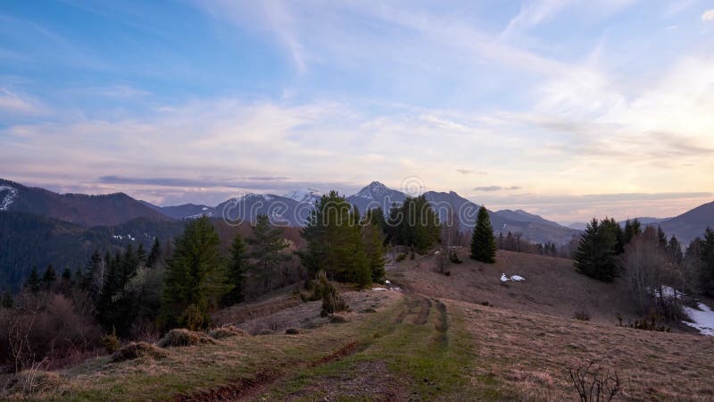 Forest Path on a Meadow at the Edge of a Forest in a Mountain Spring ...