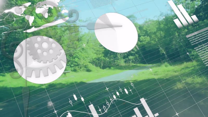 Forest Path Moving Showing World Map, Circular Diagrams, Bar Charts ...
