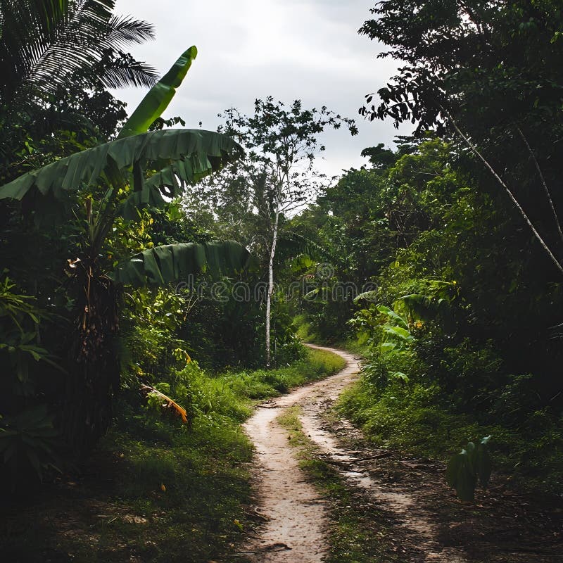 Forest Path Nature Pathway Green Forest Road Stock Illustration ...