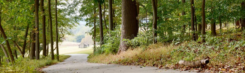 Forest Path Panorama Banner Background Stock Image - Image of banner ...