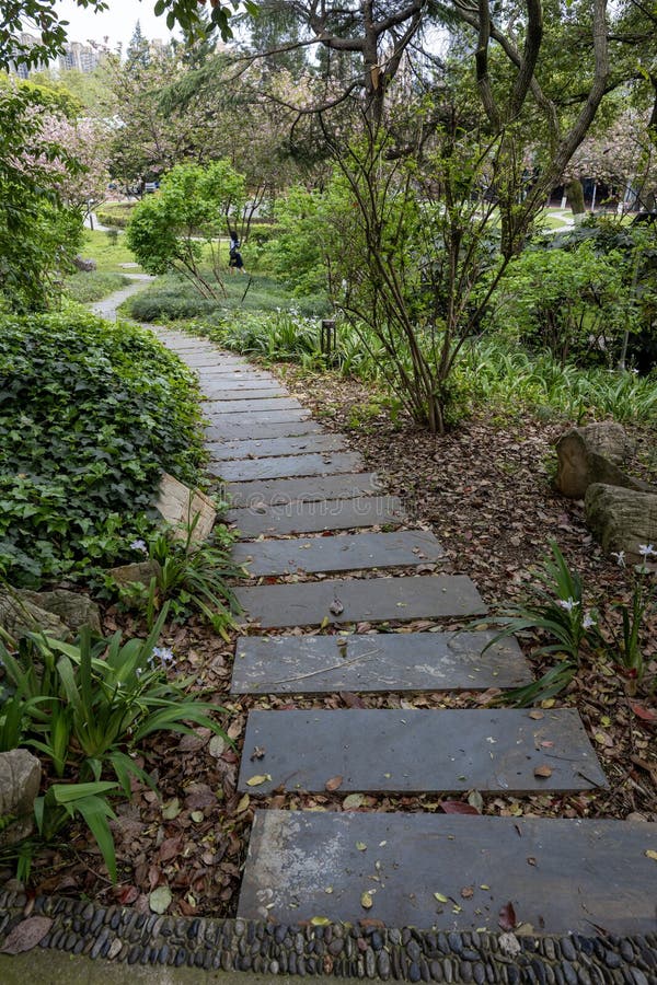 The Forest Path in the Park Stock Image - Image of garden, hunanhunan ...