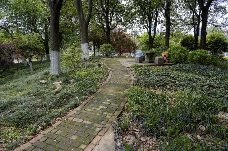 The Forest Path in the Park Stock Photo - Image of woods, hunanhunan ...