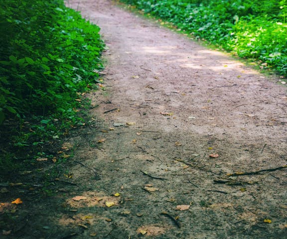 Forest Path Soil among Grass Close Up Toned Design Stock Image - Image ...