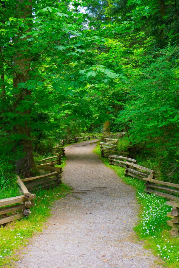251 Split Path Woods Stock Photos - Free & Royalty-Free Stock Photos ...