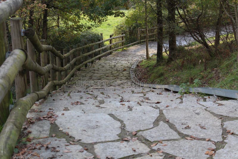 Beautiful Path in between the Trees Stock Photo - Image of europe ...
