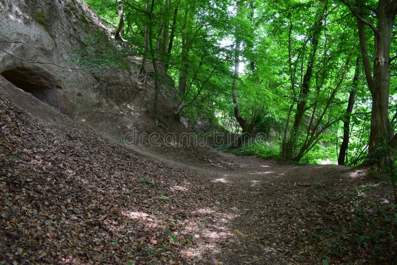 Hiking Trail in the Forest with a Cave on the Side Stock Photo - Image ...
