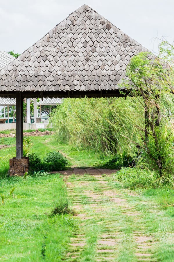 Forest Path. stock photo. Image of exercise, beauty, beautiful - 32373166