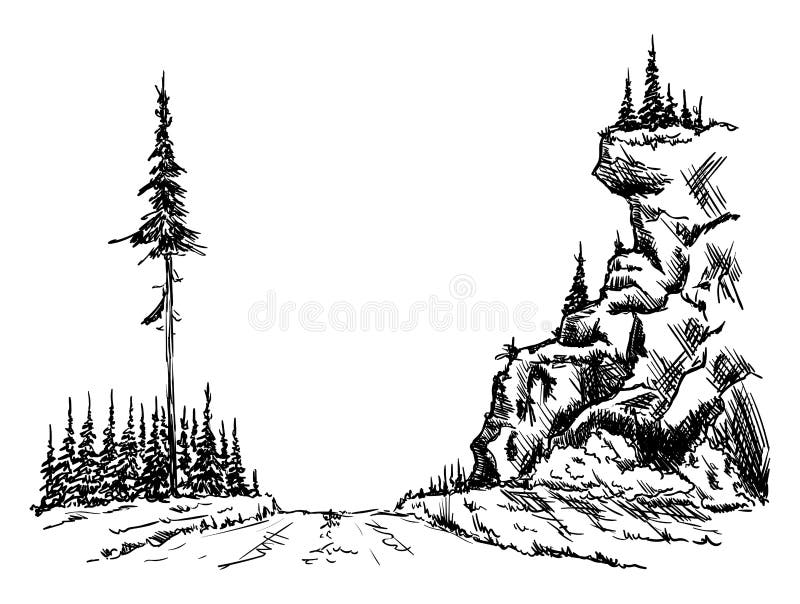 Forest path stock vector. Illustration of background - 82277410