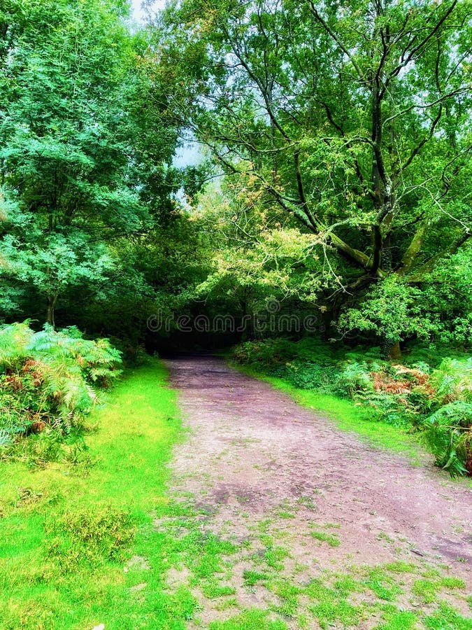 Maxine Hovell (Maxineeli) - Photographer profile