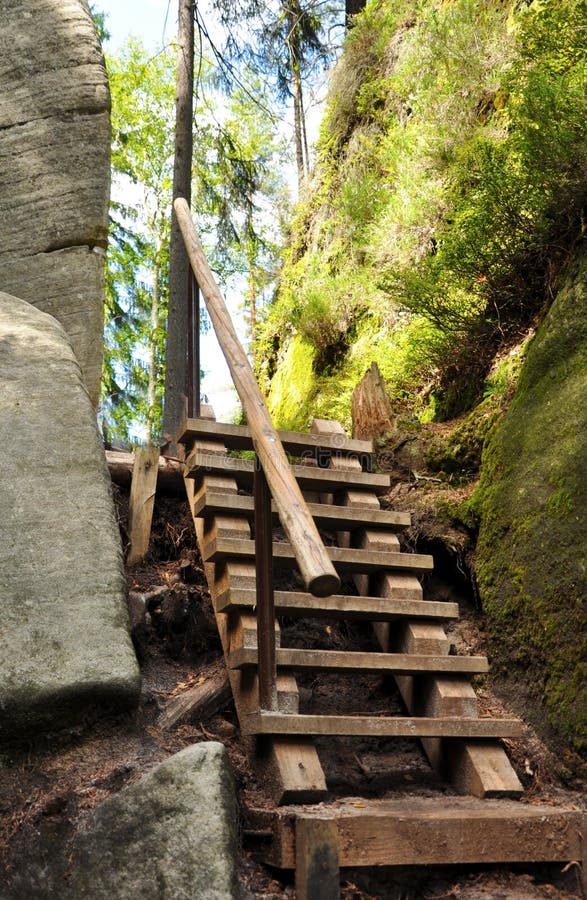 Forest path stock photo. Image of path, people, beautiful - 43666780
