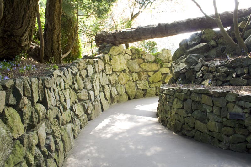 Forest Pathway stock image. Image of shade, exploration - 5224915