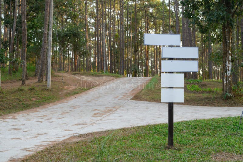 Forest Pathway with Blank Multi Directional Signpost. Travel, Adventure ...